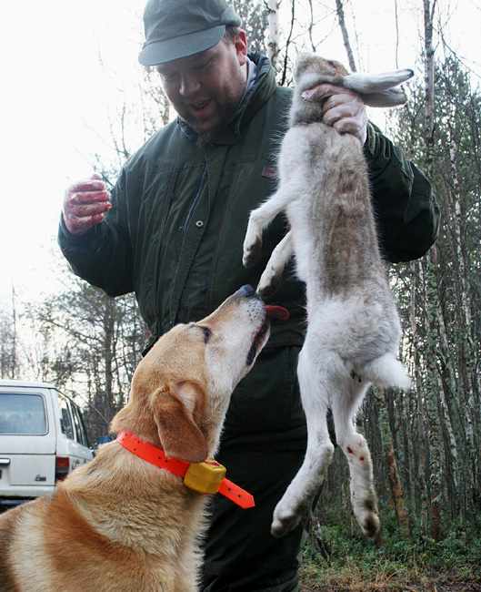 Album Russische Bracke - Segugio Russo - Russian Hound